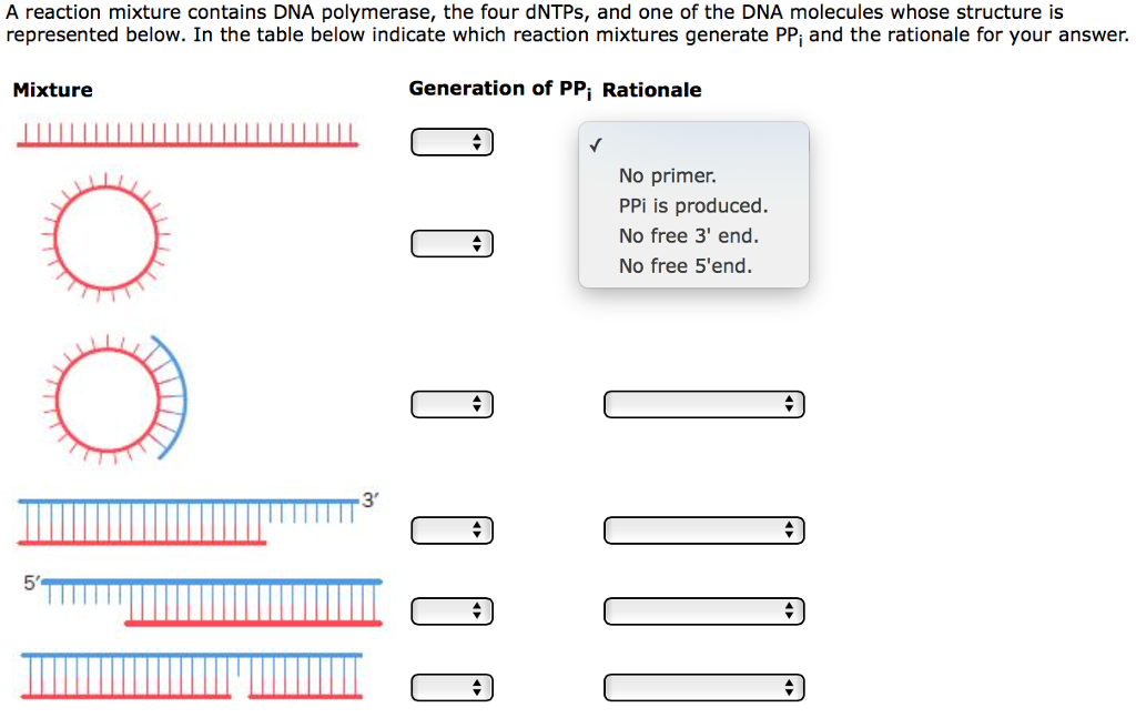 Solved A reaction mixture contains DNA polymerase, the four | Chegg.com