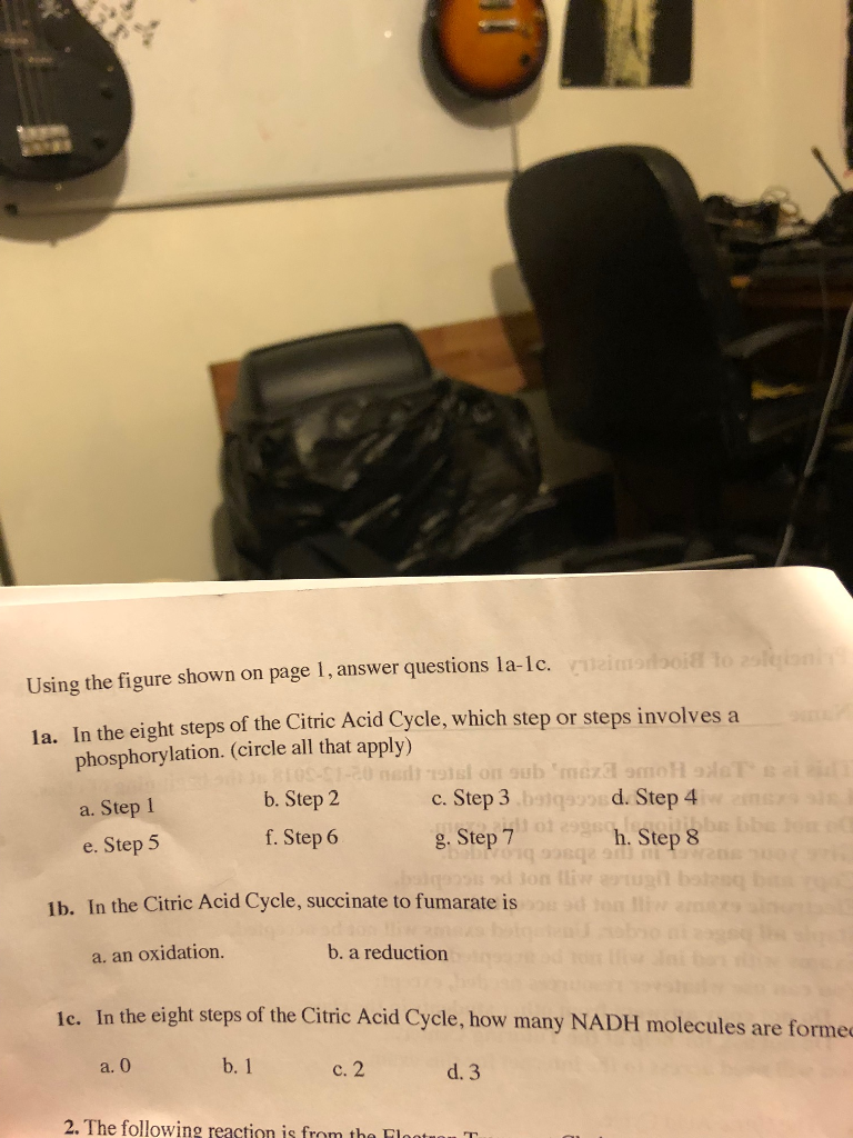 Solved Using the figure shown on page 1, answer questions | Chegg.com
