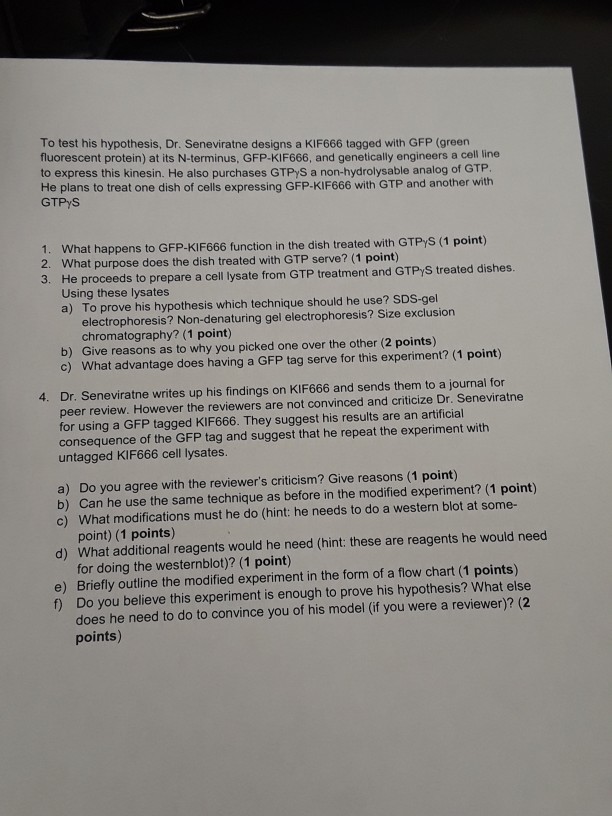 Solved 1) Hemoglobin c (abbreviated as Hb C or HbC) is an | Chegg.com