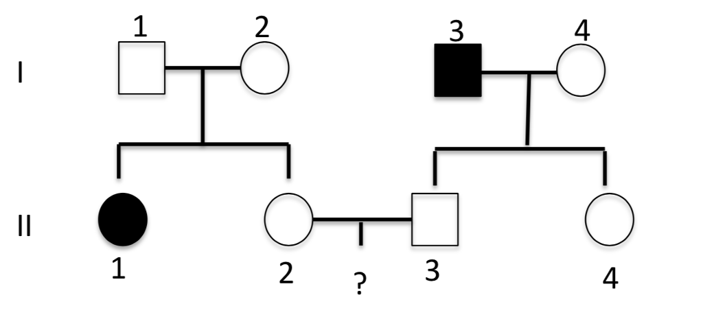 Solved The figure below shows a pedigree for a rare trait in | Chegg.com
