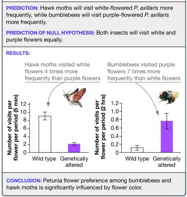 Solved In the experiment shown, why are the results recorded | Chegg.com