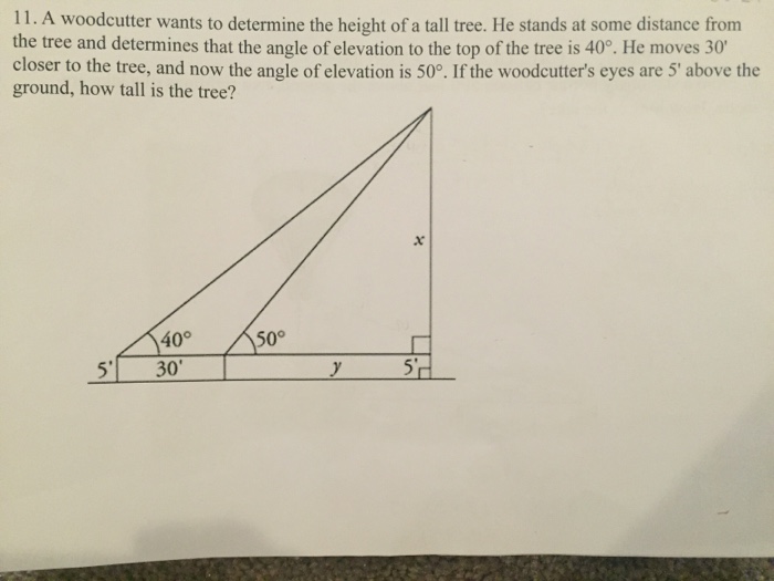 Solved A woodcutter wants to determine the height of a tall | Chegg.com