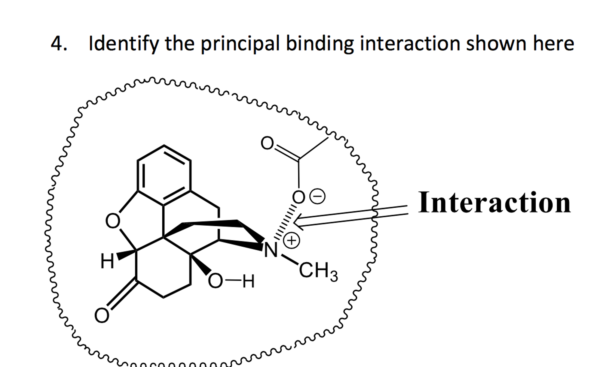 Solved Identify the principal binding interaction shown here | Chegg.com