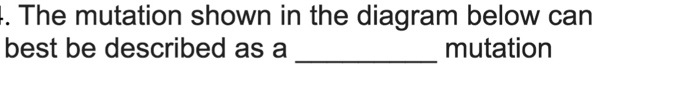 Solved The mutation shown in the diagram below can best be | Chegg.com