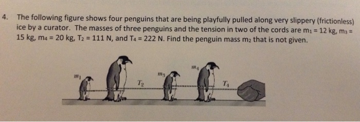 Solved The following figure shows four penguins that are | Chegg.com