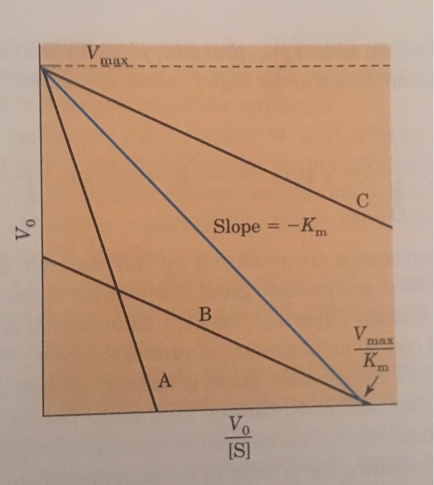 Solved 14. The Eadie-Hofstee Equation One transformation of | Chegg.com