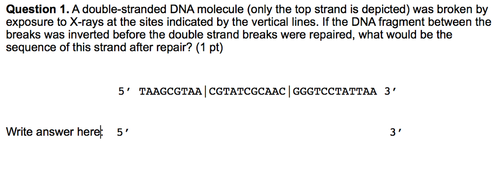 Solved A double-stranded DNA molecule (only the top strand | Chegg.com