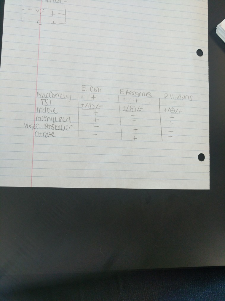 Solved given the results of 3 gram - enterobacteria create a | Chegg.com