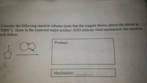 Solved Consider the following reaction scheme (note that the | Chegg.com
