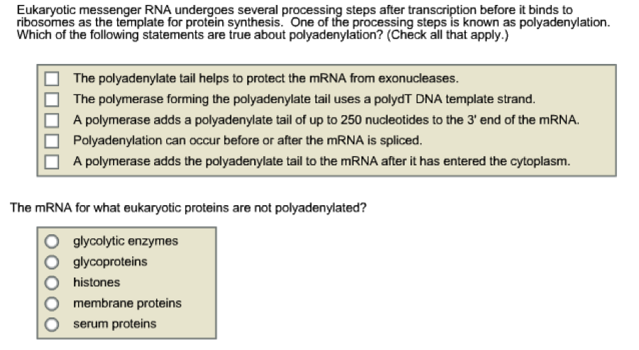 Solved Eukaryotic messenger RNA undergoes several processing | Chegg.com