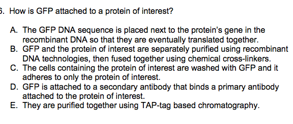 Solved How is GFP attached to a protein of interest? A. The | Chegg.com