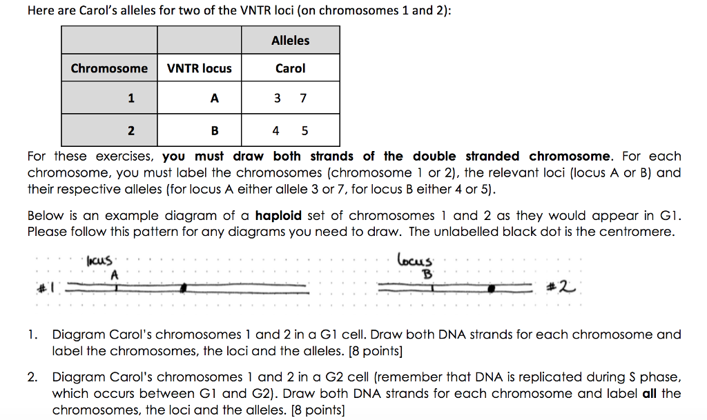 Solved Here are Carol's alleles for two of the VNTR loci (on | Chegg.com