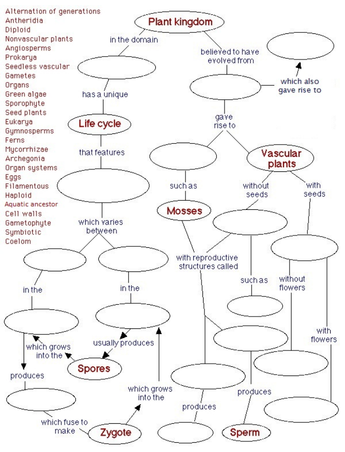 Alternation Of Generations Gymnosperms