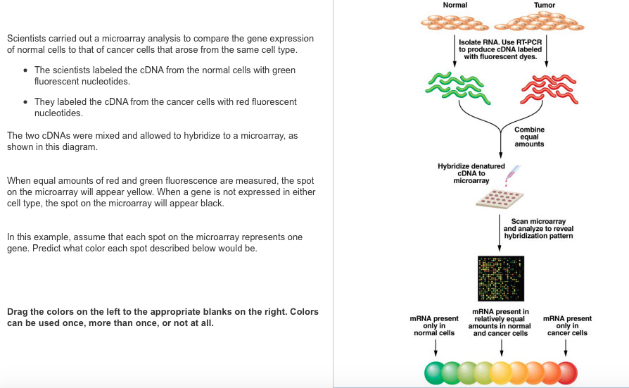 Solved Part D Using BLAST to query a species-specific | Chegg.com