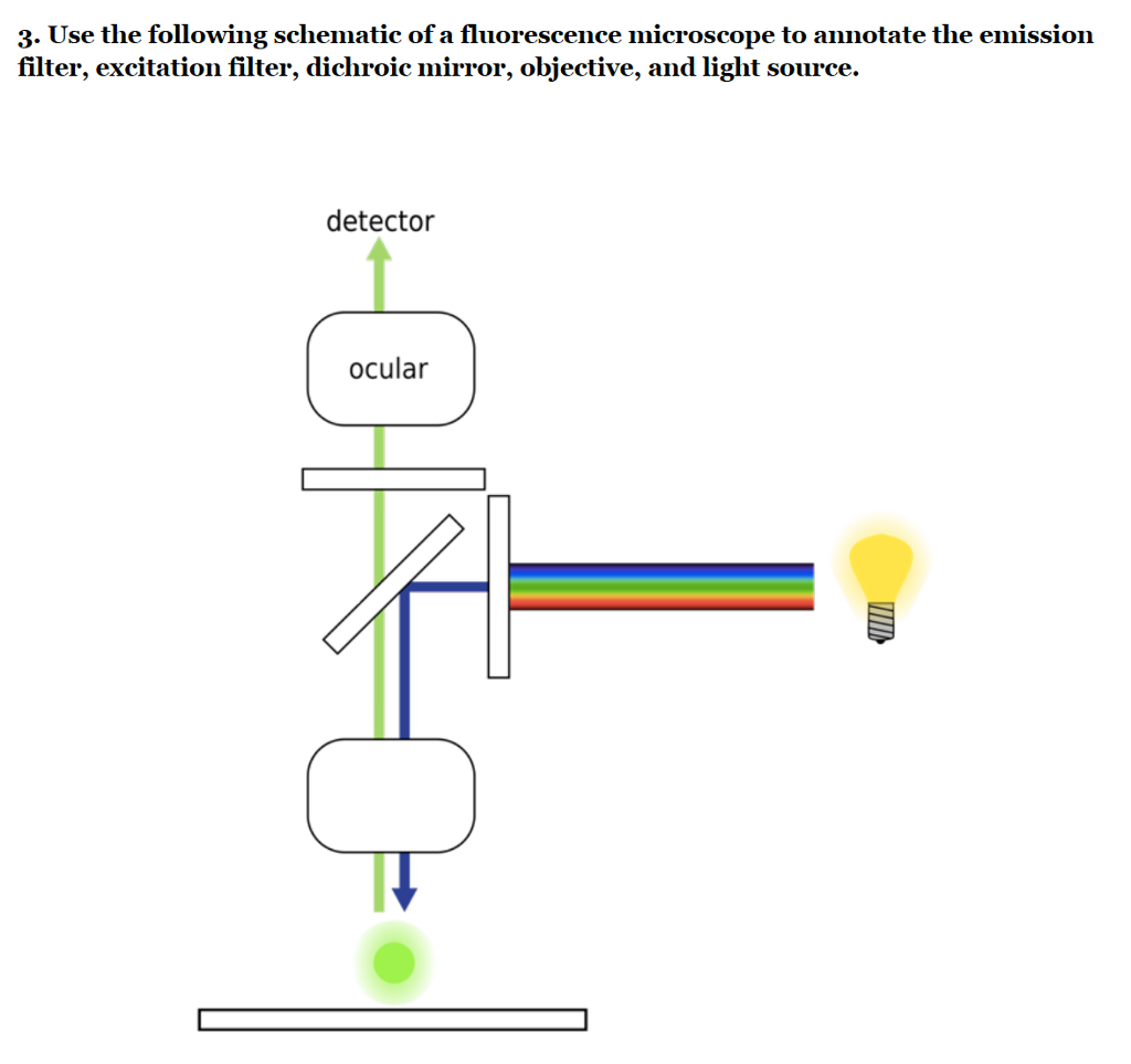 Solved 3. Use the following schematic of a fluorescence | Chegg.com