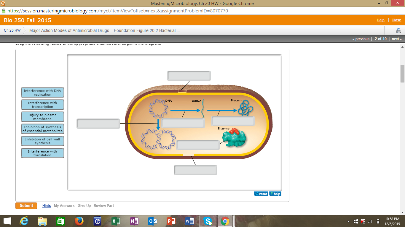 Solved Part A - Potential Targets of Antibacterial Drugs The | Chegg.com