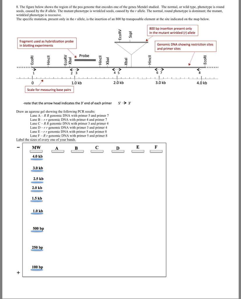 Solved 8. The figure below shows the region of the pea | Chegg.com