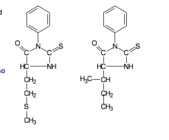Solved A hexapeptide that is part of a mouse polypetide | Chegg.com