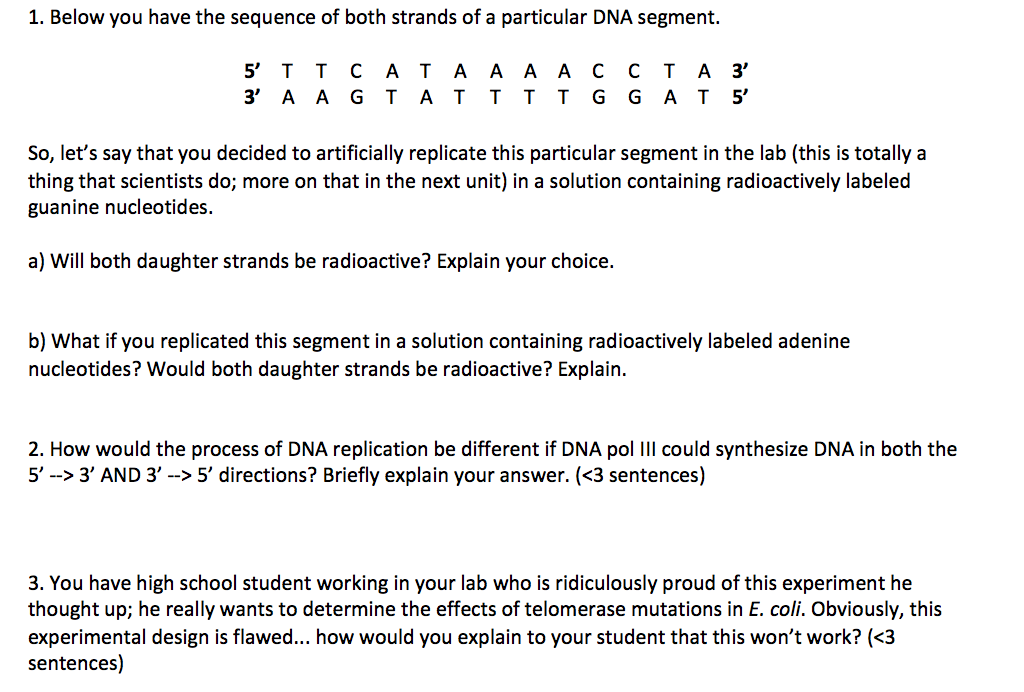 Solved Below you have the sequence of both strands of a | Chegg.com