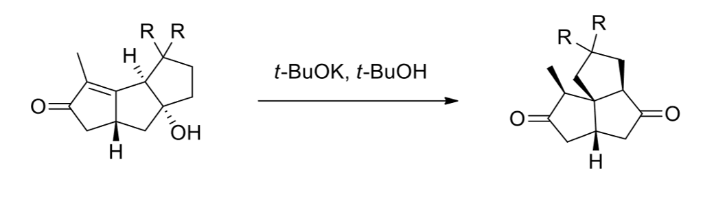 Solved t-BuOK, t-BuOH OH | Chegg.com