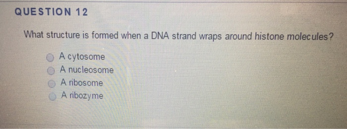 Solved What structure is formed when a DNA strand wraps | Chegg.com