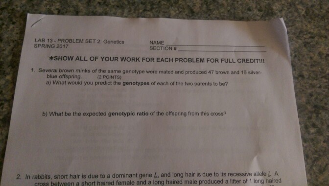 Solved LAB 13 PROBLEM SET 2: Genetics NAME SPRING 2017 | Chegg.com