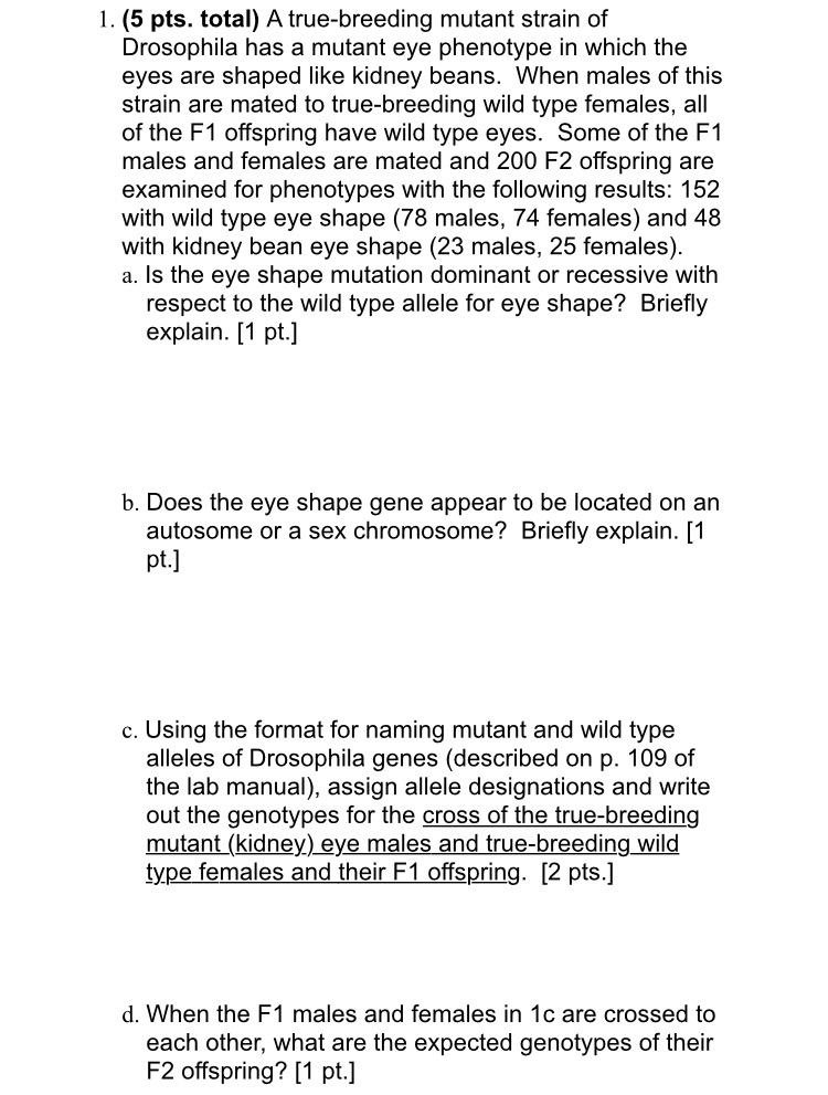 Solved A true-breeding mutant strain of Drosophila has a | Chegg.com