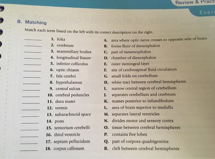 Solved Matching Match each term listed on the left with its | Chegg.com