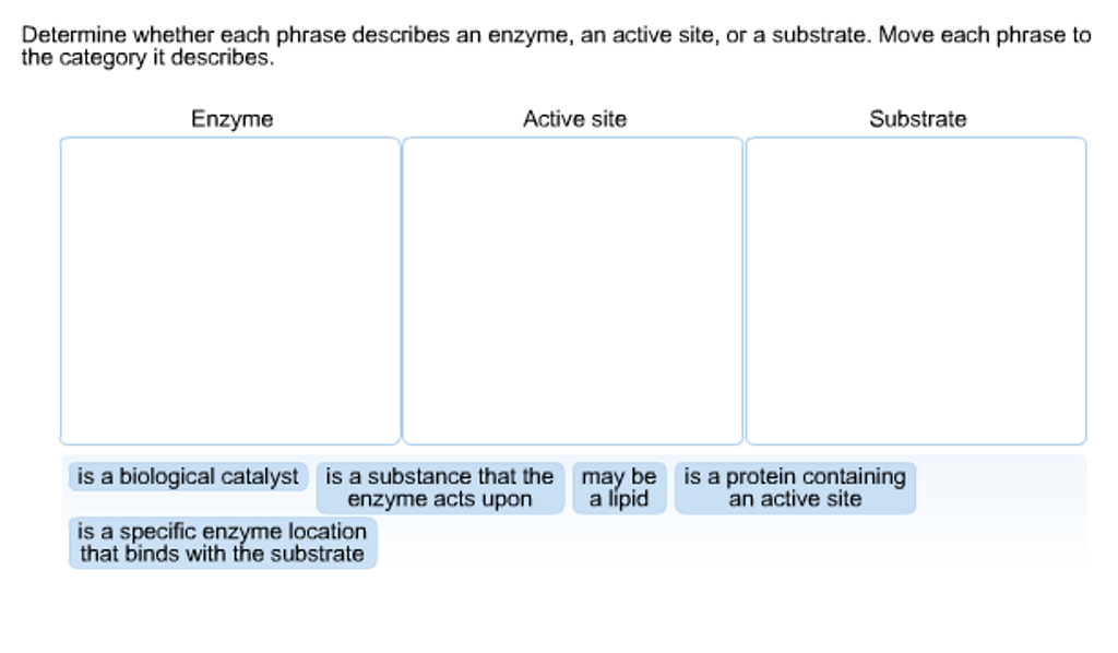 Solved Determine whether each phrase describes an enzyme, an | Chegg.com