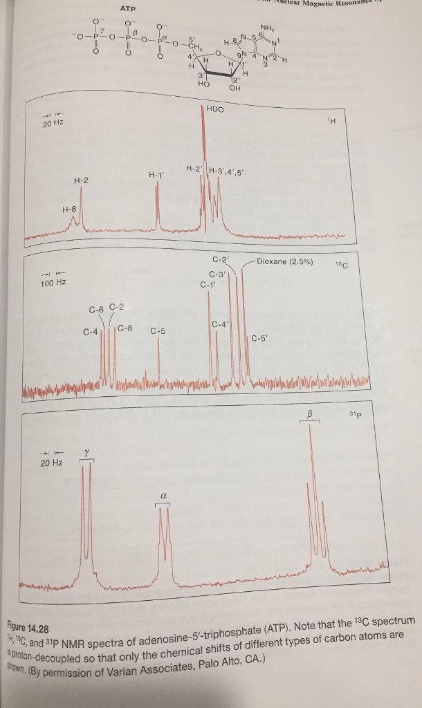 Analyze the 13P NMR spectrum of ATP shown in Figure | Chegg.com