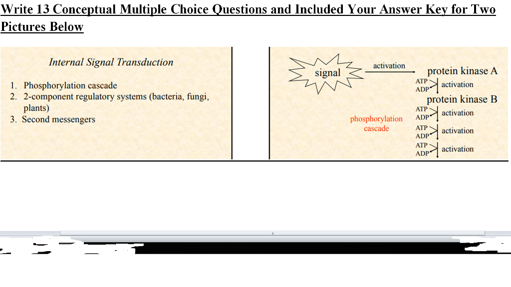 Solved Note: Write 13 Conceptual Multiple Choice Questions | Chegg.com