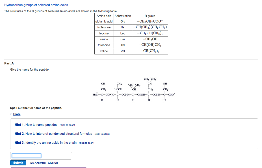 Solved Hydrocarbon groups of selected amino acids The | Chegg.com