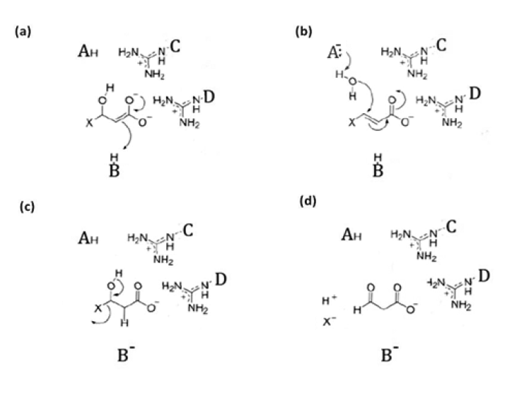 All steps to the solutions of the following problems | Chegg.com