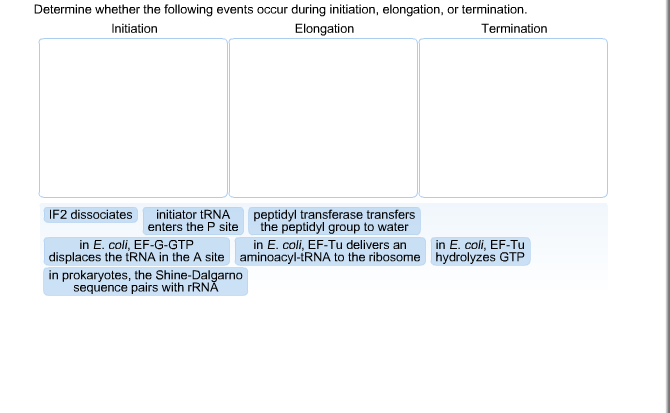 Solved Determine whether the folowing events occur during | Chegg.com
