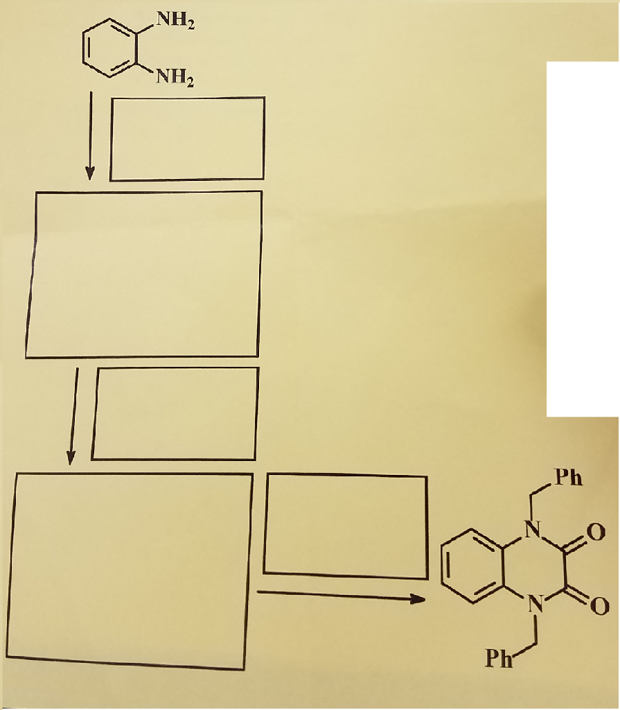 Solved NH NH 2 Ph N. C Ph | Chegg.com