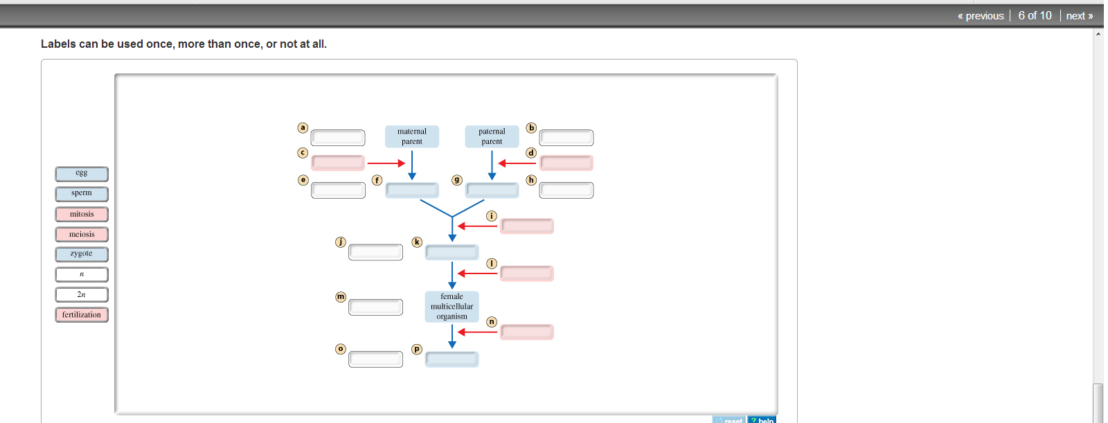 Solved Labels can be used once, more than once, or not at | Chegg.com