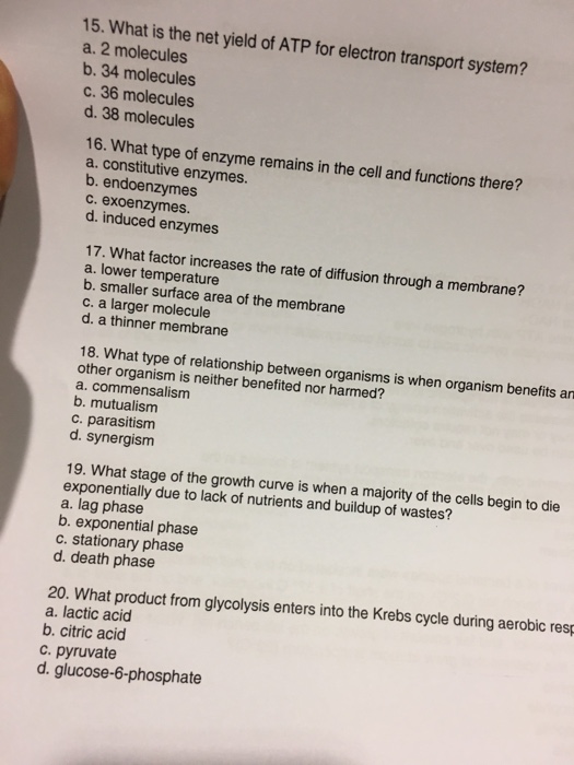 Solved What is the net yield of ATP for electron transport | Chegg.com