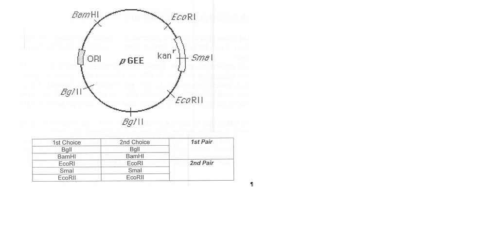 Solved 3. you are interested in using the plasmid pGEE as a | Chegg.com