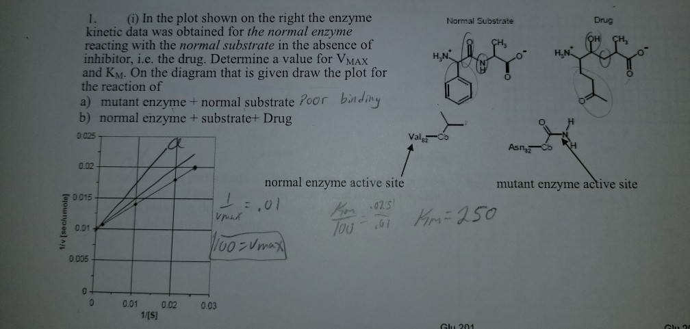 1. (i) In the plot shown on the right the enzyme | Chegg.com