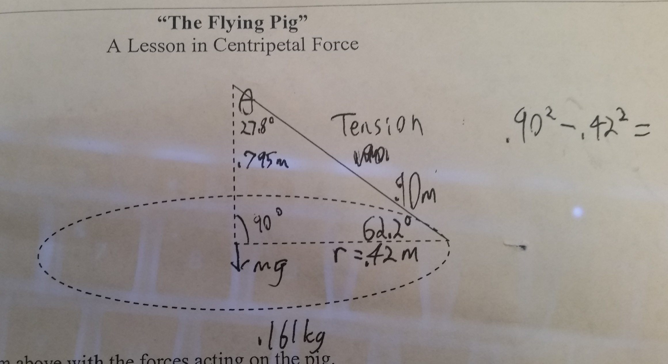 Solved I need help with a flying pig assignment. The | Chegg.com