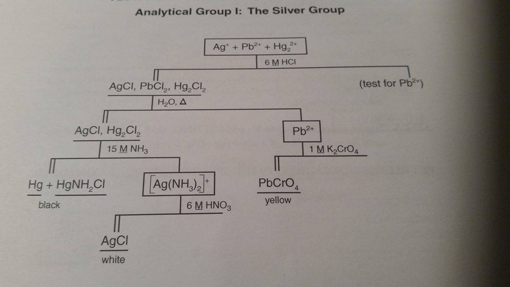 Solved EXPERIMENTAL PROCEDURE: GROUP I CATIONS Test a known | Chegg.com