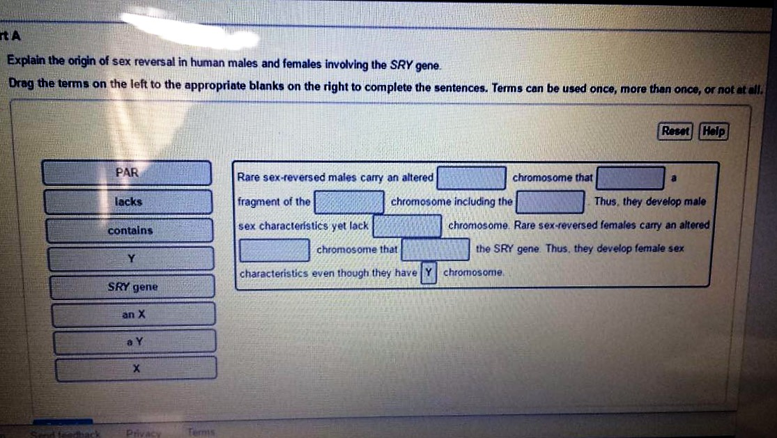 Solved In humans, SRY is located near a | Chegg.com