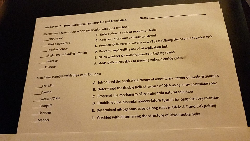 Solved Name: Worksheet 7-DNA replication, Transcription and | Chegg.com