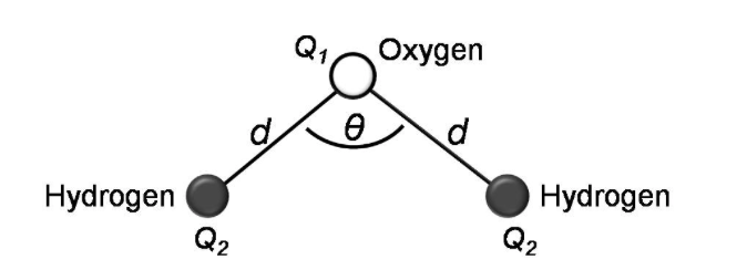 Solved The water molecule forms an angle, with hydrogen | Chegg.com