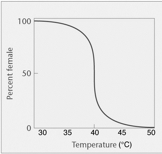 Solved The Graph Above Shows The Effect Of Temperature On