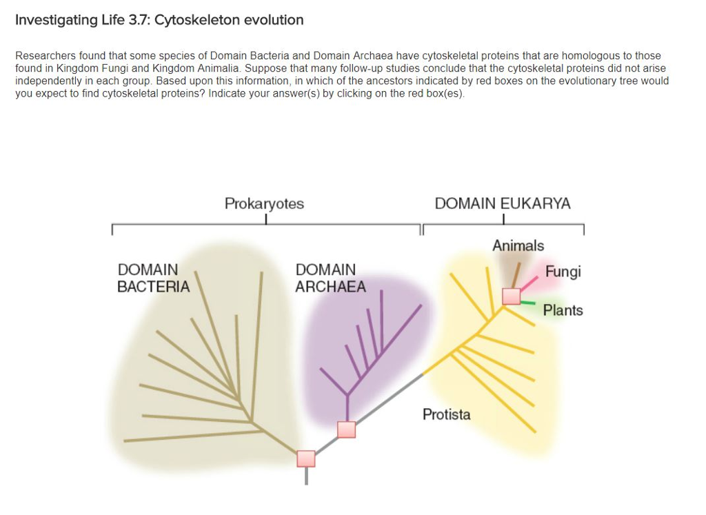 Solved Investigating Life 3.7: Cytoskeleton evolution | Chegg.com