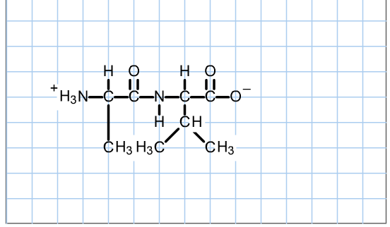 Solved I have the structure for alanylvaline (Ala-Val) but | Chegg.com