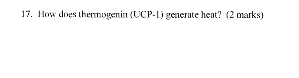 Solved 17. How does thermogenin (UCP-1) generate heat? (2 | Chegg.com