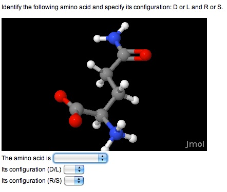 Solved Identify the following amino acid and specify its | Chegg.com