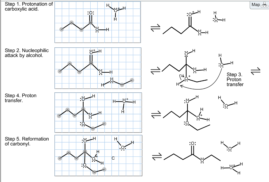 Solved Step 1. Protonation of carboxylic acid Step 2. | Chegg.com